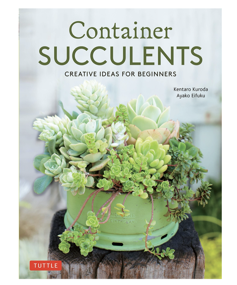 Container Succulents Book – Clover & Arrow
