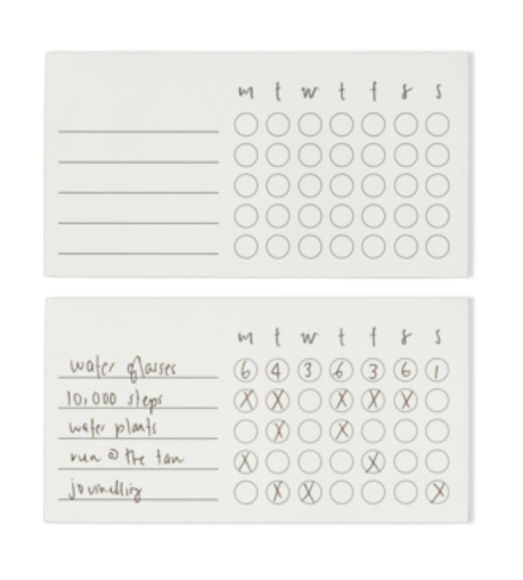 Track It Real-Habit Tracker Sticky Notes – Clover & Arrow